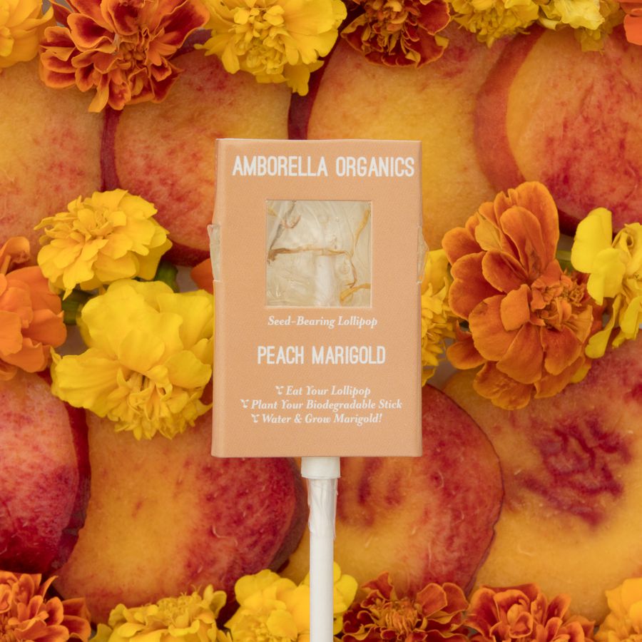 Peach & Marigold